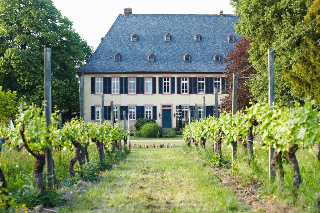 Gutshotel Baron Knyphausen - Winery with overnight stay and wine tasting